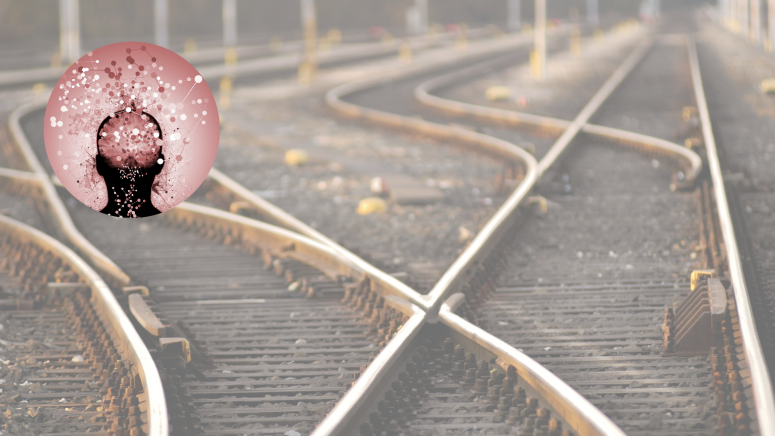 Reactive Neuromuscular Training (RNT) - Exercie Daily