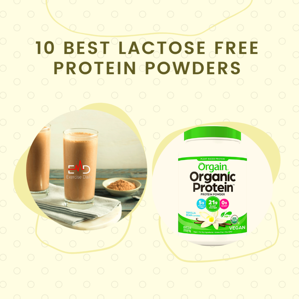 Lactose Free Protein Powder - Top 10 in 2022