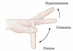 Effective Radial Nerve Gliding Exercises for Enhanced Function