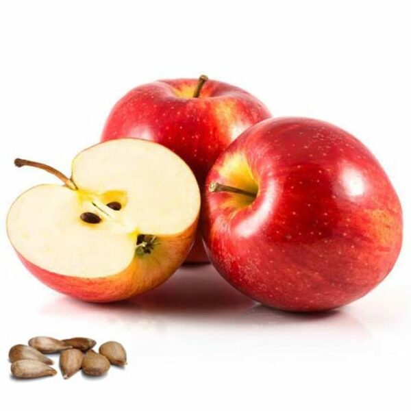 The Powerful Benefits of Apple Seeds for Cancer Patients